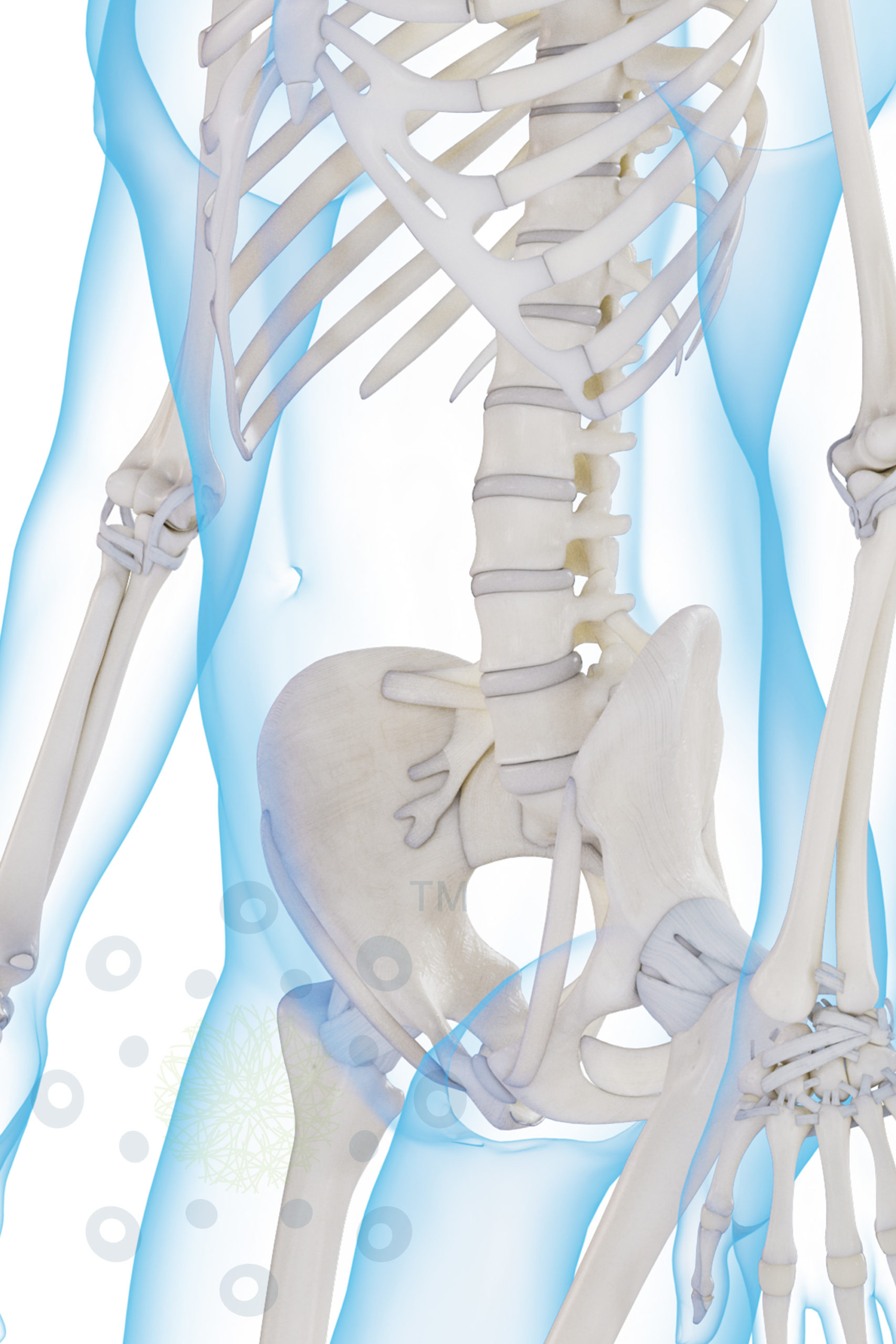 Lehrtafel - Rücken - RegenLab GmbH